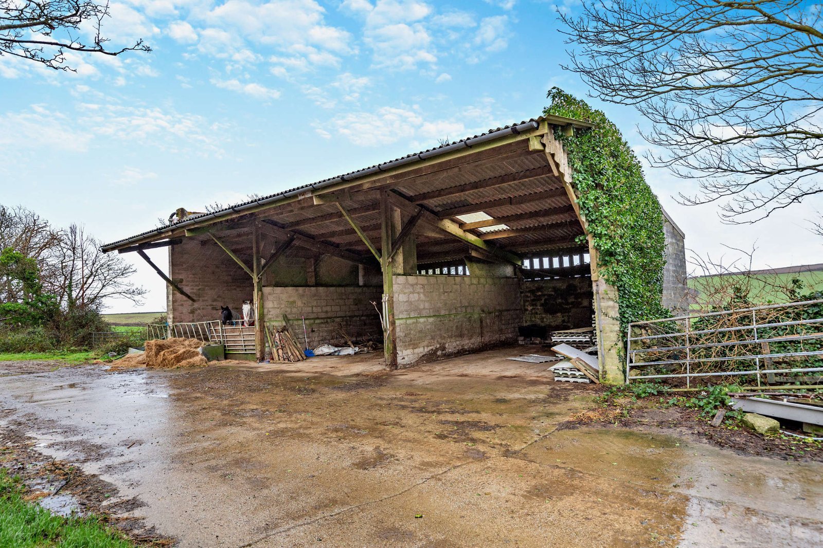 Gillan, Manaccan, Helston, Cornwall - Property