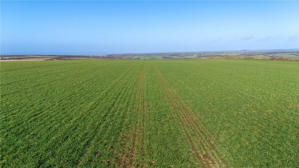 Hartland, Bideford, Devon, EX39 6EL - Property