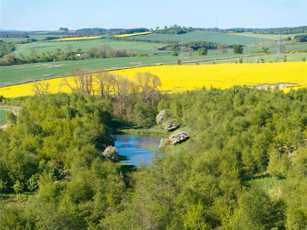 Longleefoot & Cauldshiels, Melrose, Scottish Borders, TD6 9BG - Property