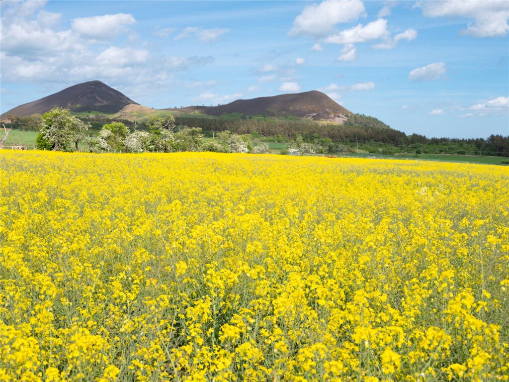WHOLE - Longleefoot & Cauldshiels, Melrose, Scottish Borders, TD6 9BG ...
