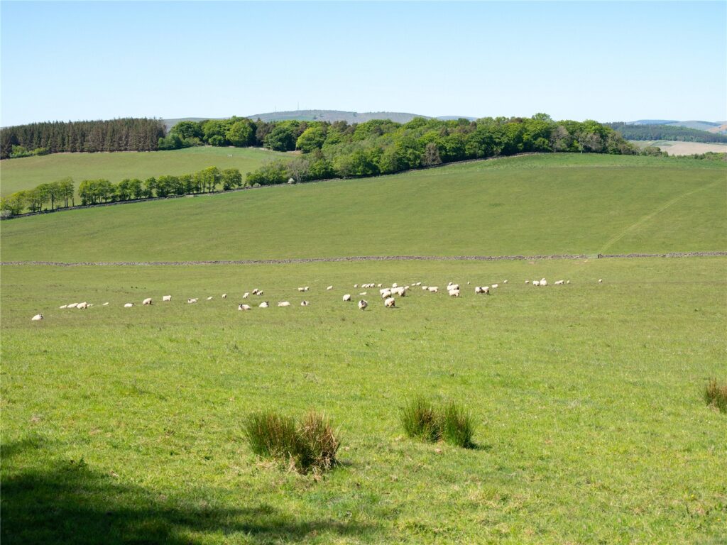 Lot 2 - Cauldshiels, Melrose, Scottish Borders, TD6 9BG - Property