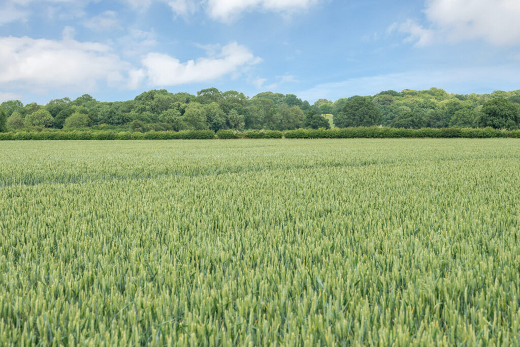 Low Farm, Scremby, Spilsby, Lincolnshire, PE23 5RP - Property