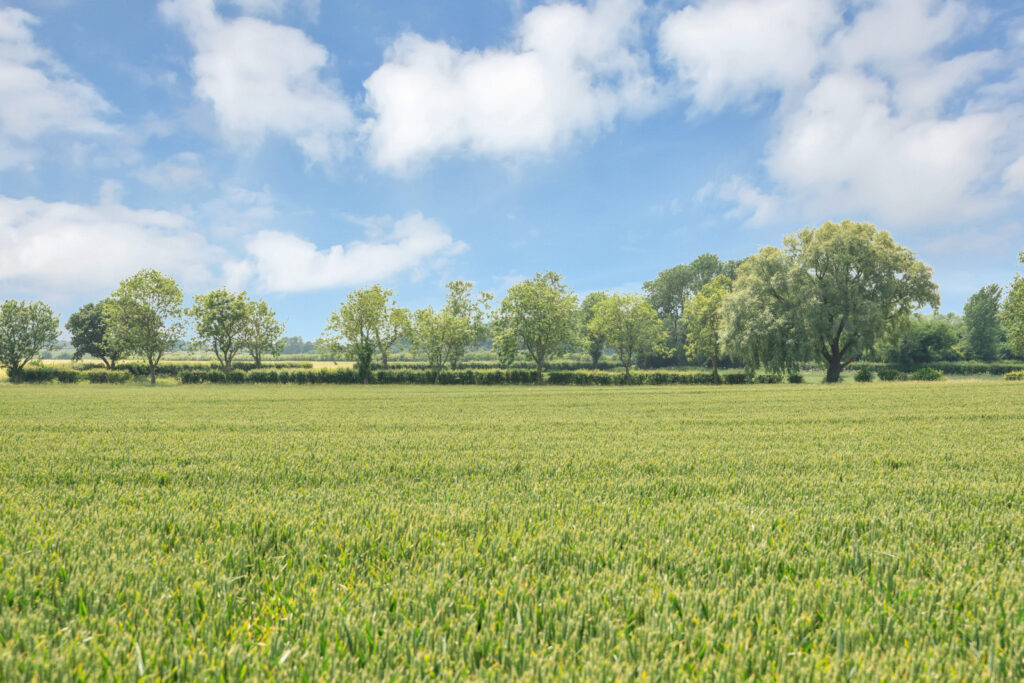 Low Farm, Scremby, Spilsby, Lincolnshire, PE23 5RP - Property