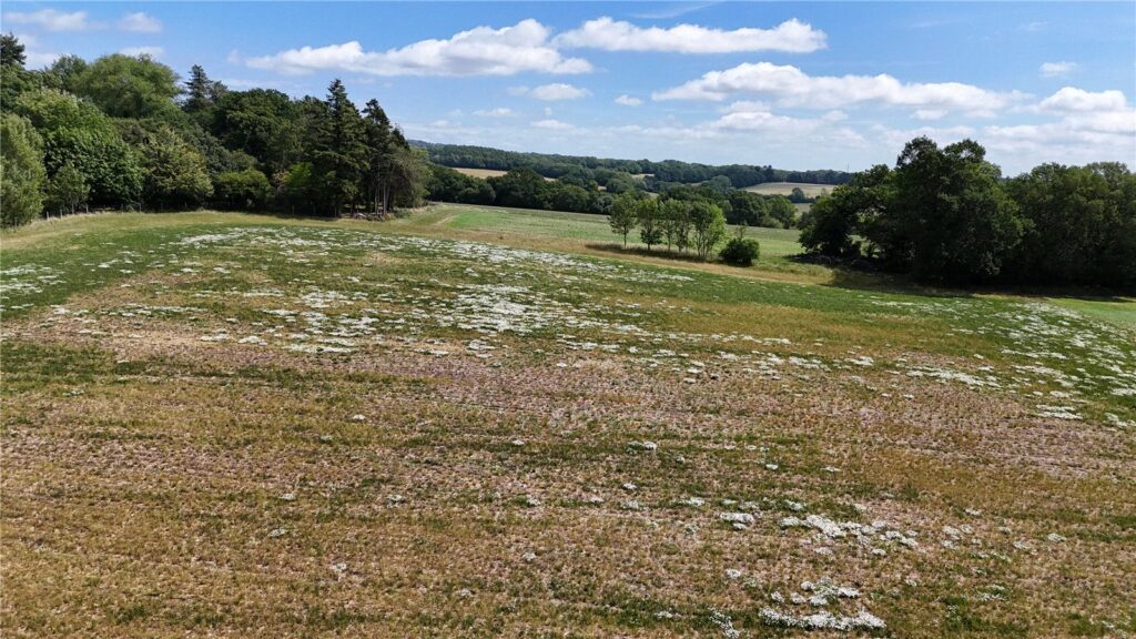 Doiley Hill, Hurstbourne Tarrant, Andover, SP11 0ER - Property