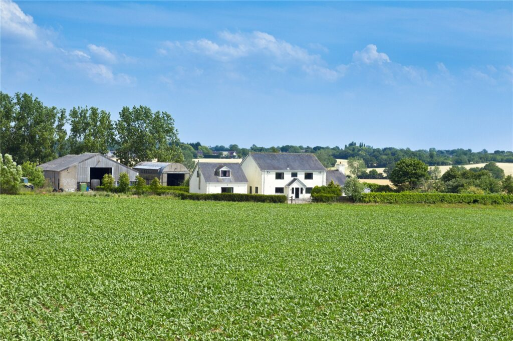 Rowney Farm, Whepstead, Bury St. Edmunds, IP29 4TQ - Property