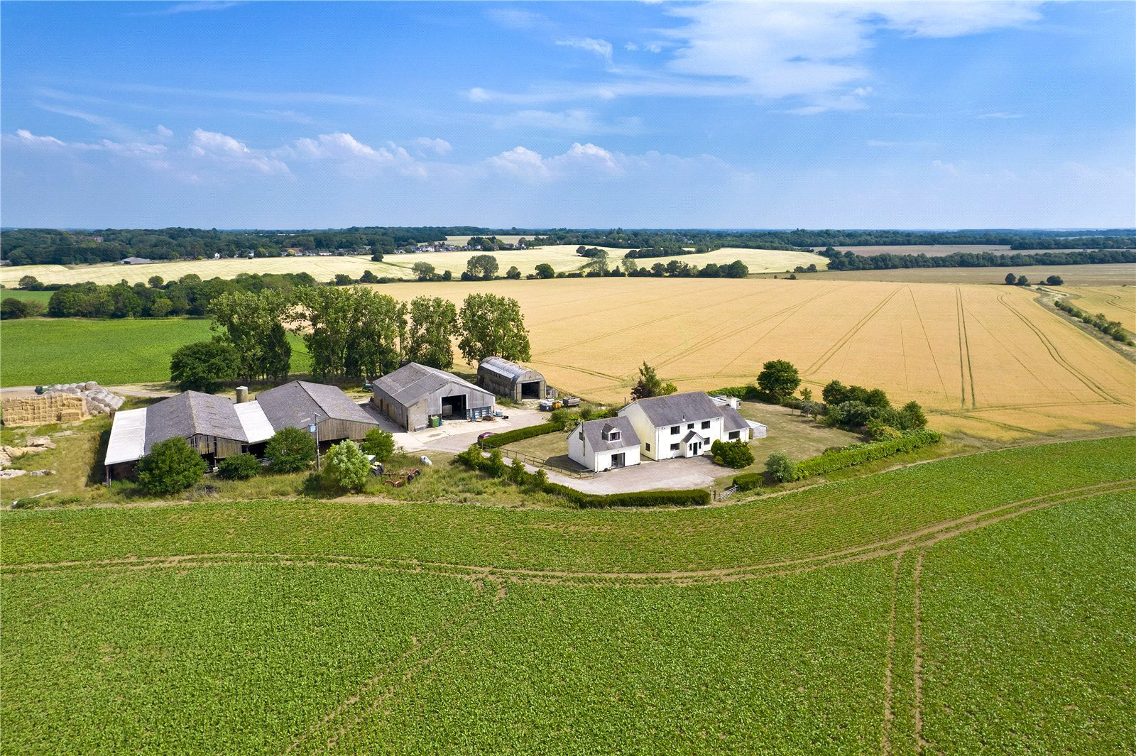 Lot 1 | Rowney Farm, Whepstead, Bury St. Edmunds, IP29 4TQ - Property