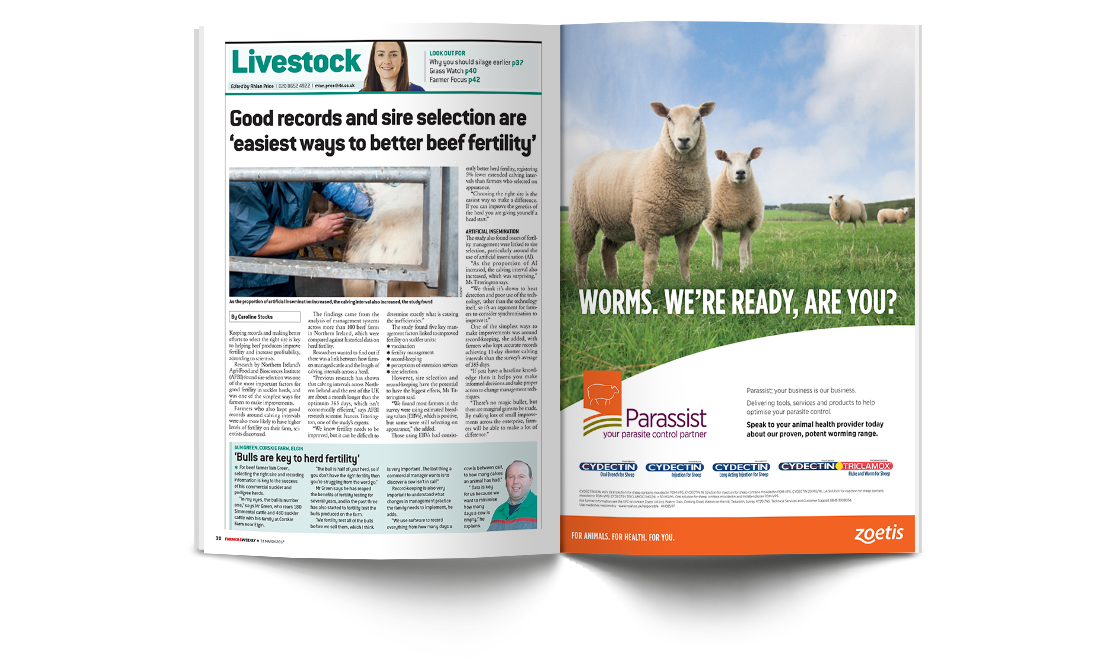 Display Example - Media Centre