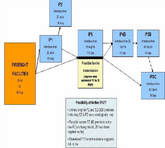 Foot and mouth was overlooked for a month on Surrey farm - Farmers Weekly