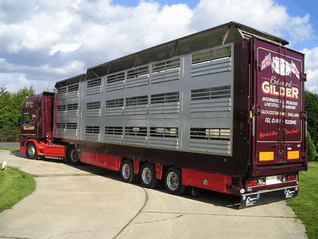 The big debate: FOR live exports - Farmers Weekly