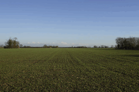 South Norfolk arable farm for sale - Farmers Weekly