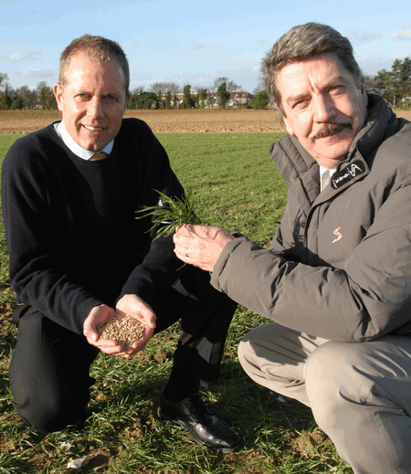 Early season fungicides vital to protect higher wheat margins - Farmers ...