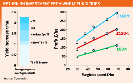 Early season fungicides vital to protect higher wheat margins - Farmers ...