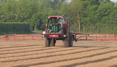 Potato herbicide timing will require more attention - Farmers Weekly