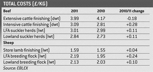 Survey highlights jump in beef and sheep costs - Farmers Weekly