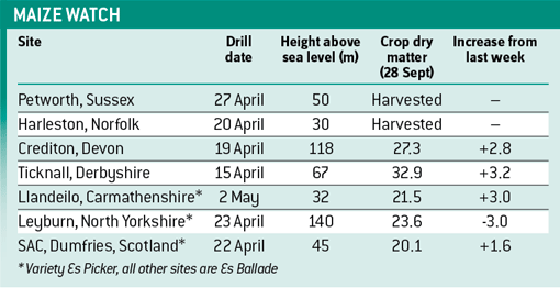Maize Watch: Warm weather matures maize rapidly - Farmers Weekly