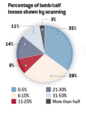 Farmers Weekly survey points to 'worrying' livestock losses - Farmers ...