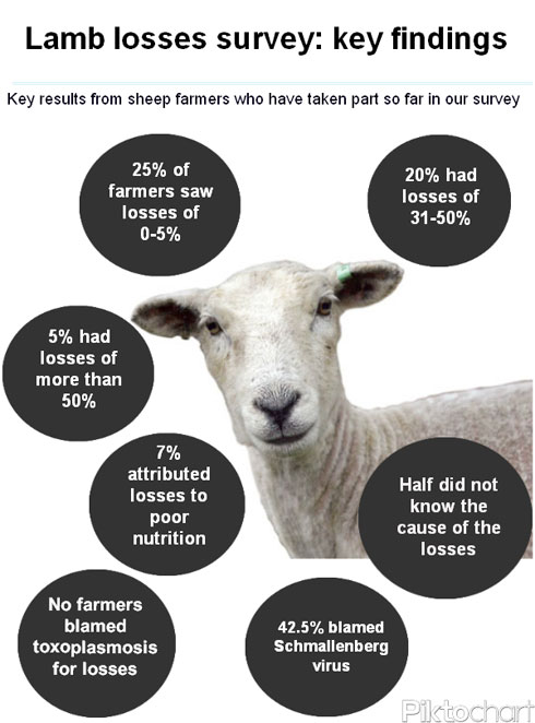 Lamb loss survey results in numbers - Farmers Weekly